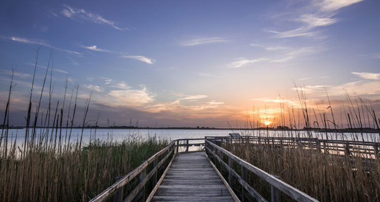 Exploring Nature and Competition: Enhancing Back Bay National Wildlife ...